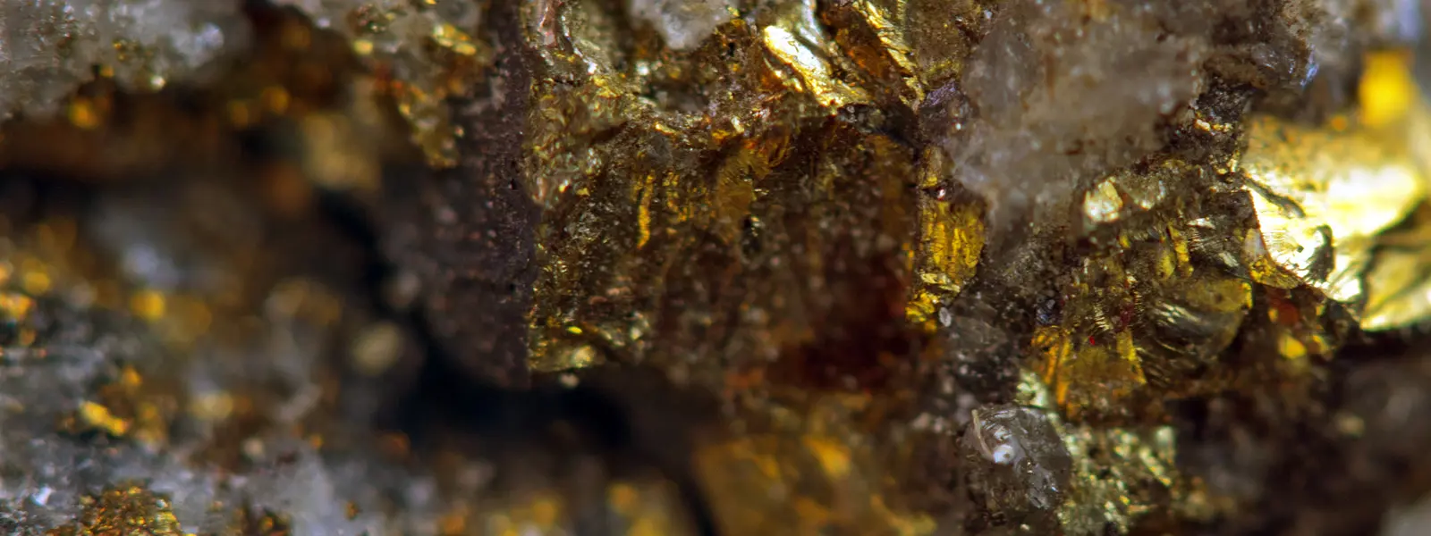 Sprott Gold Equity Fund | Sprott