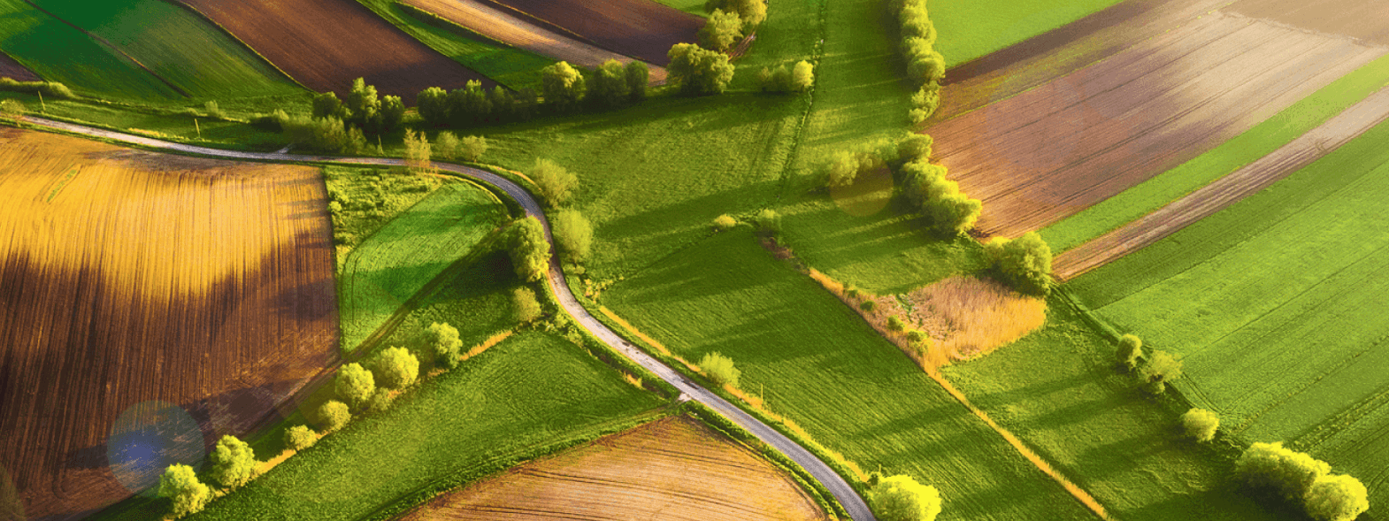 Managed Equity Funds | Sprott